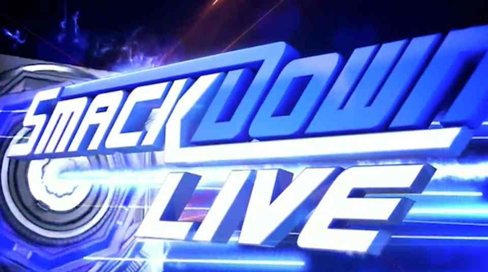 WWE SmackDown and 205 Live Interviewer Undergoes Surgery Wrestling News ...
